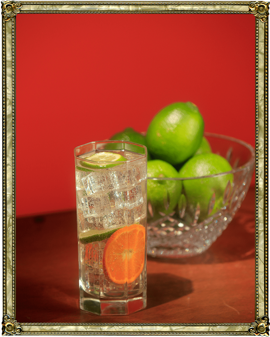 Gin & Tonic Elixir: